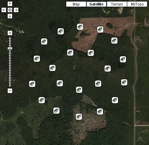Northwoods GeoCats: Giant Smiley in the Woods